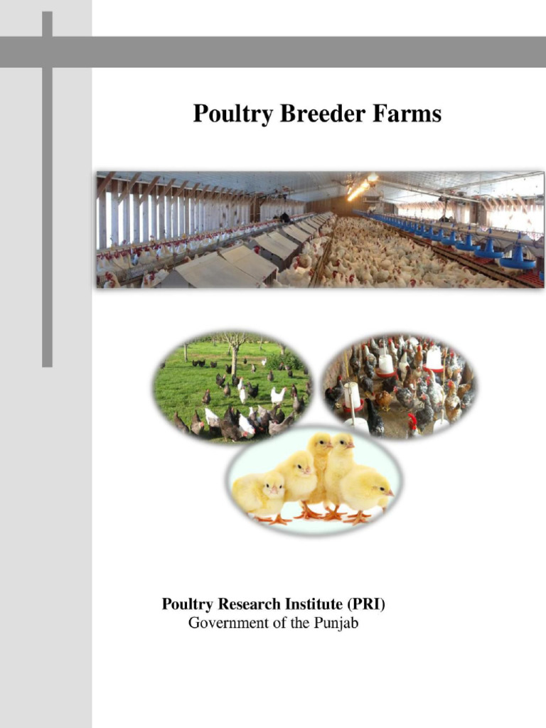 Breeder Farming | PDF Breeder Farming | PDF