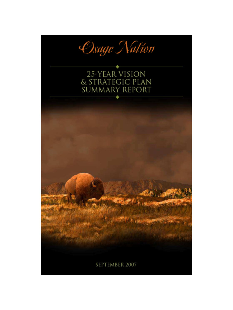 25 year Strategic Plan | PDF | Strategic Planning | Governance