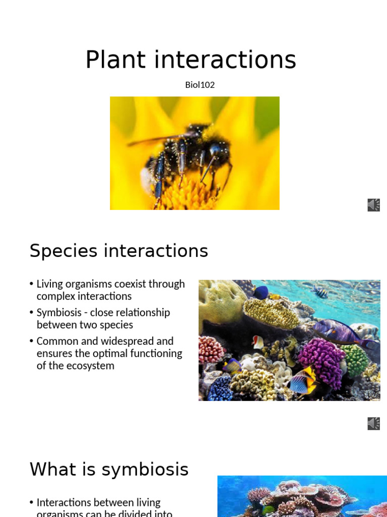 Commensalism in Sonoran Desert Ecosystem | PDF | Desert | Symbiosis