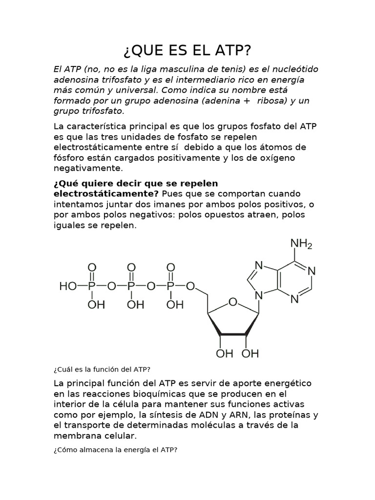 QUE ES EL ATP | PDF | Trifosfato de adenosina | Fosforilación