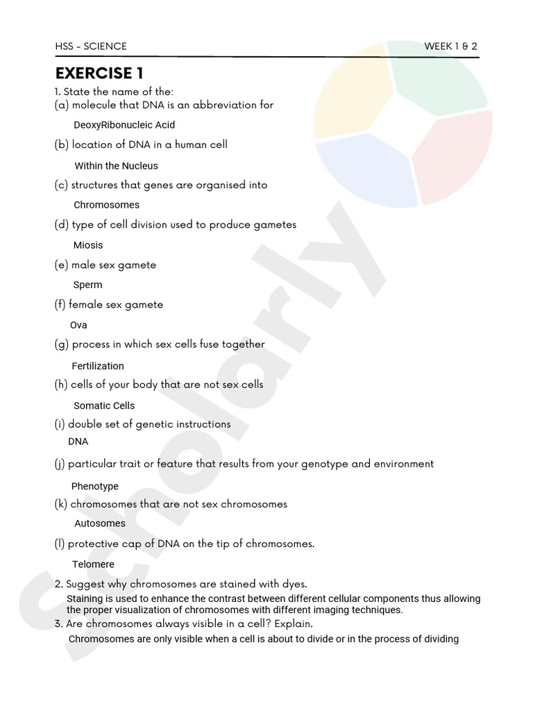 a;sjfhlkajHsf | PDF | Nucleic Acids | Nucleic Acid Sequence