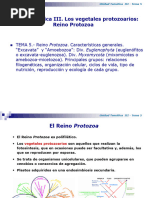 Glosario de briofitos y caulidios | PDF | Hoja | Plantas