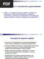 Glosario de briofitos y caulidios | PDF | Hoja | Plantas