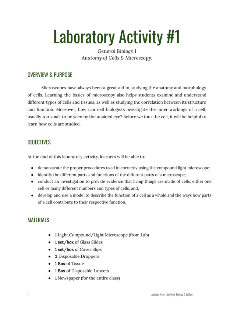 Maria Francesca Ventanilla Laboratory Activity 1 | PDF | Optics | Microscopy