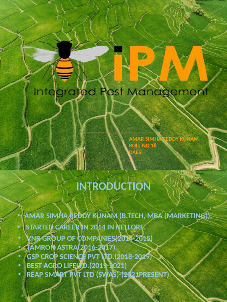 Amar Ipm Final | PDF