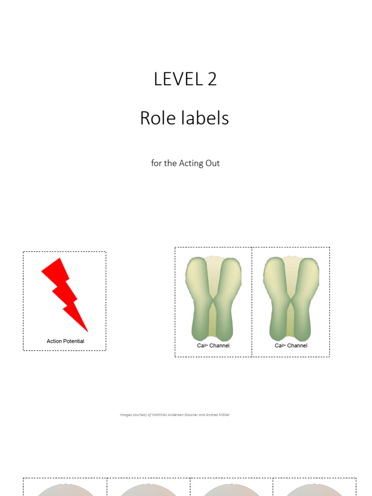 Roleplay Neurobiology Role Labels | PDF
