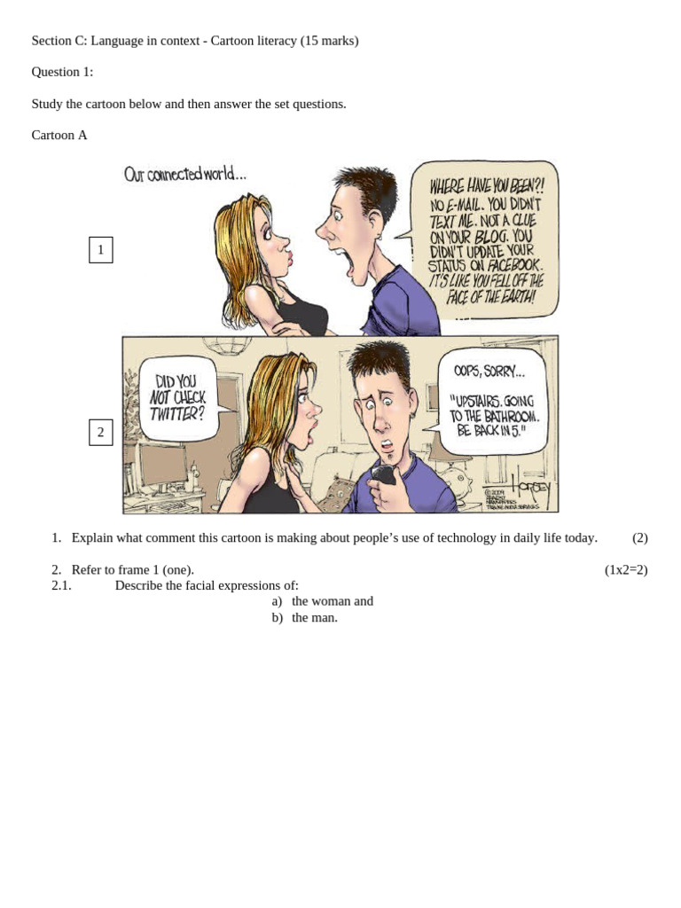 GRADE 10 Cartoon & Advert Exam Exercise | PDF