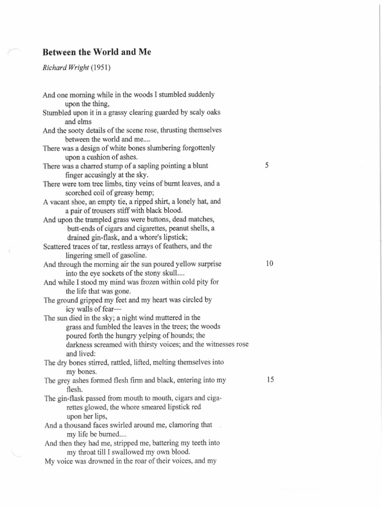 Between The World Poem Annotations AP Questions | PDF