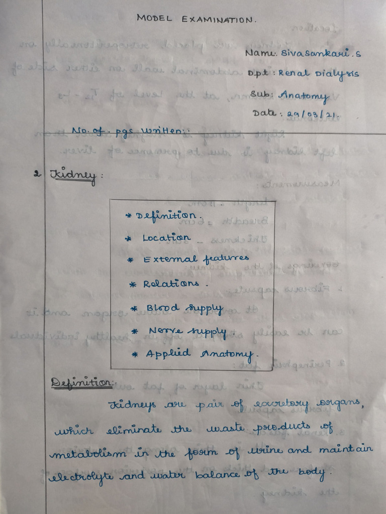 0 - Model Exam Answer Sheet | PDF