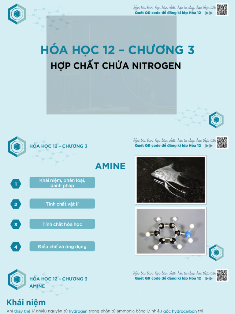 Hóa 12 - Slide H P Chât CH A Nitrogen - Amine | PDF