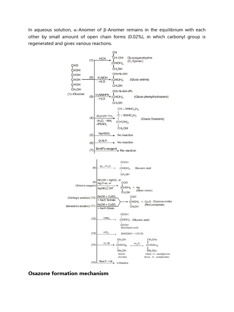 Biomolecules & Polymers (Lecture-2) | PDF | Glucose | Amino Acid
