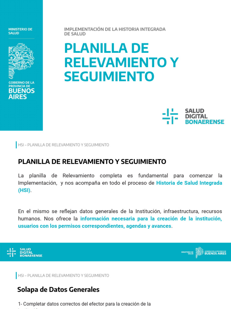 11 - Planilla de Relevamiento | PDF