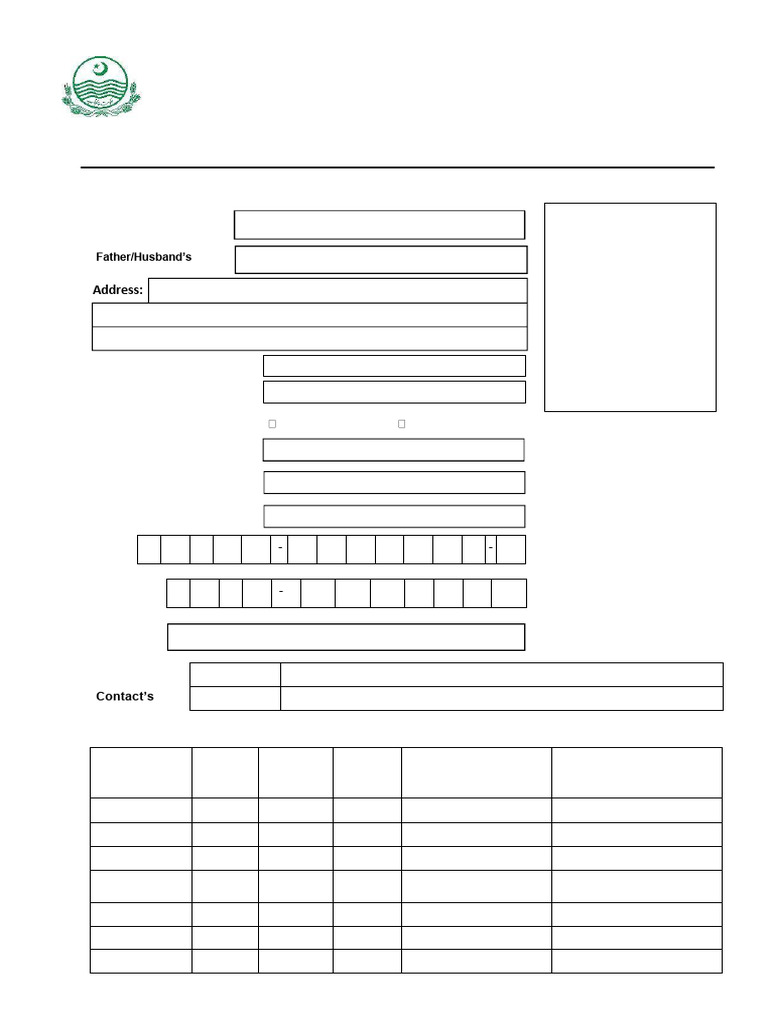 Job Application Form (HPS, 2024) | PDF