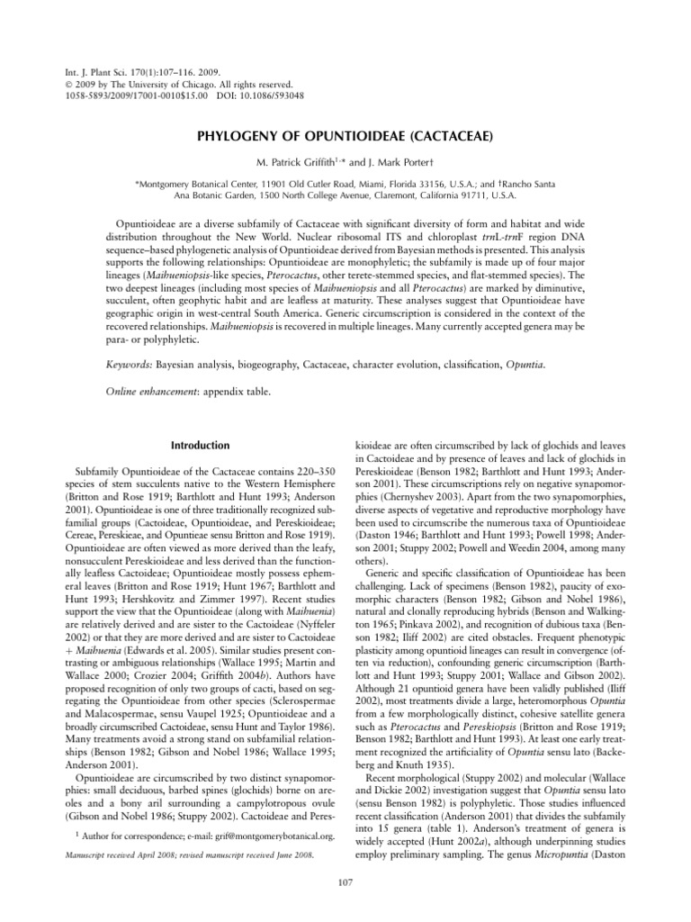 Phylogeny of Opuntioideae | PDF | Polymerase Chain Reaction | Molecular Phylogenetics