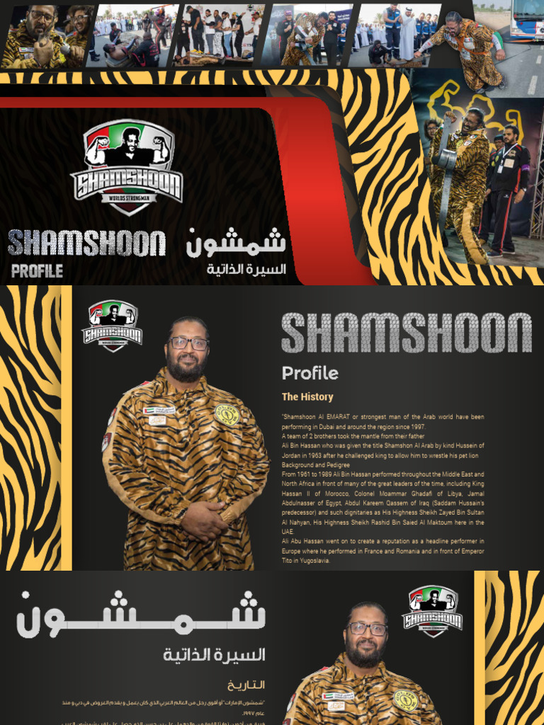 Profile Ss v2 | PDF | United Arab Emirates