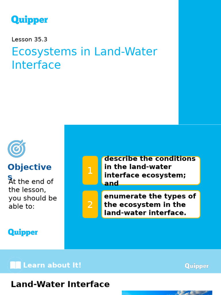 Earth and Life Science Lesson 35.3 Ecosystems in Land-Water Interface ...