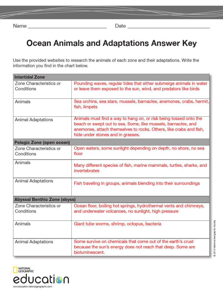 Ocean Zones & Animal Adaptations | PDF