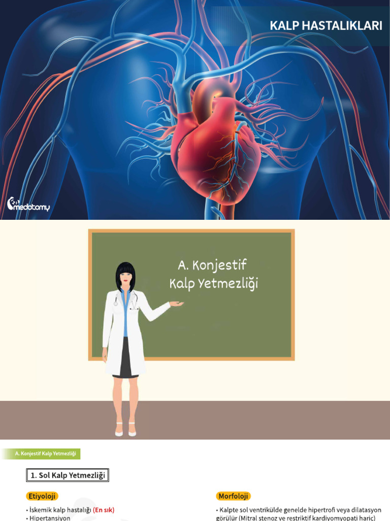8-Kalp Hastalıkları - 241022 - 165651 | PDF