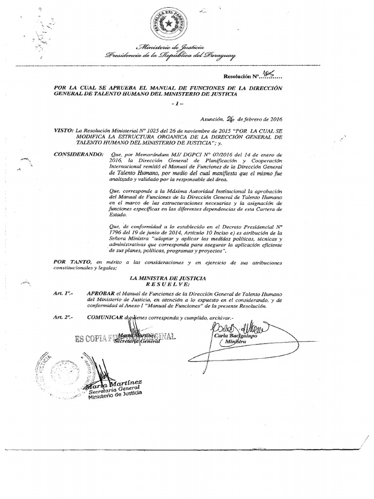 Manual de Funciones DGTH | PDF