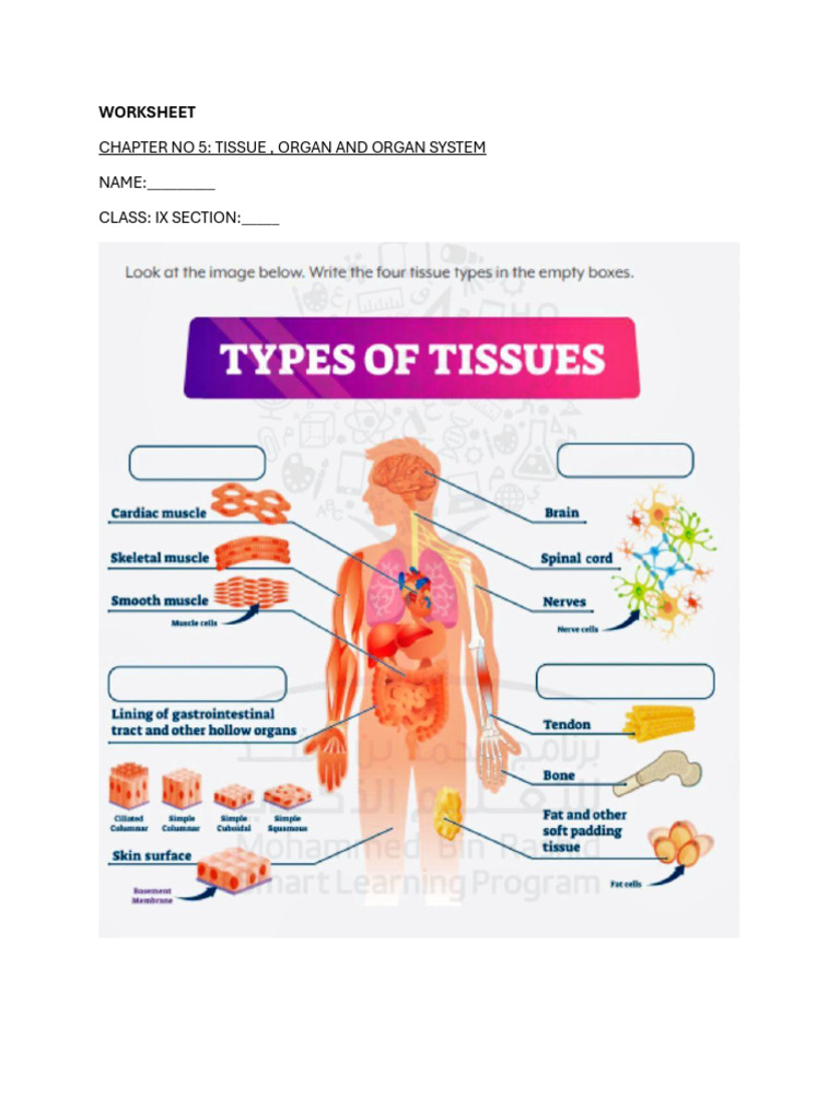 Worksheet Chapter 5 | PDF | Teaching Methods & Materials
