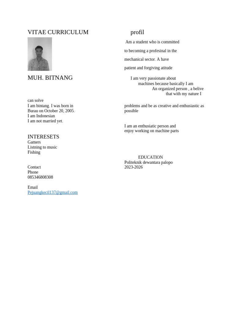 Cv Muh Bintang Profil | PDF