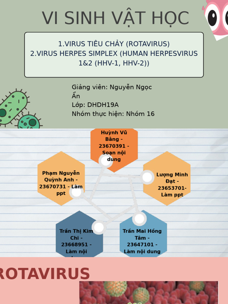 Rotavirus, hhv1 hhv2 | PDF