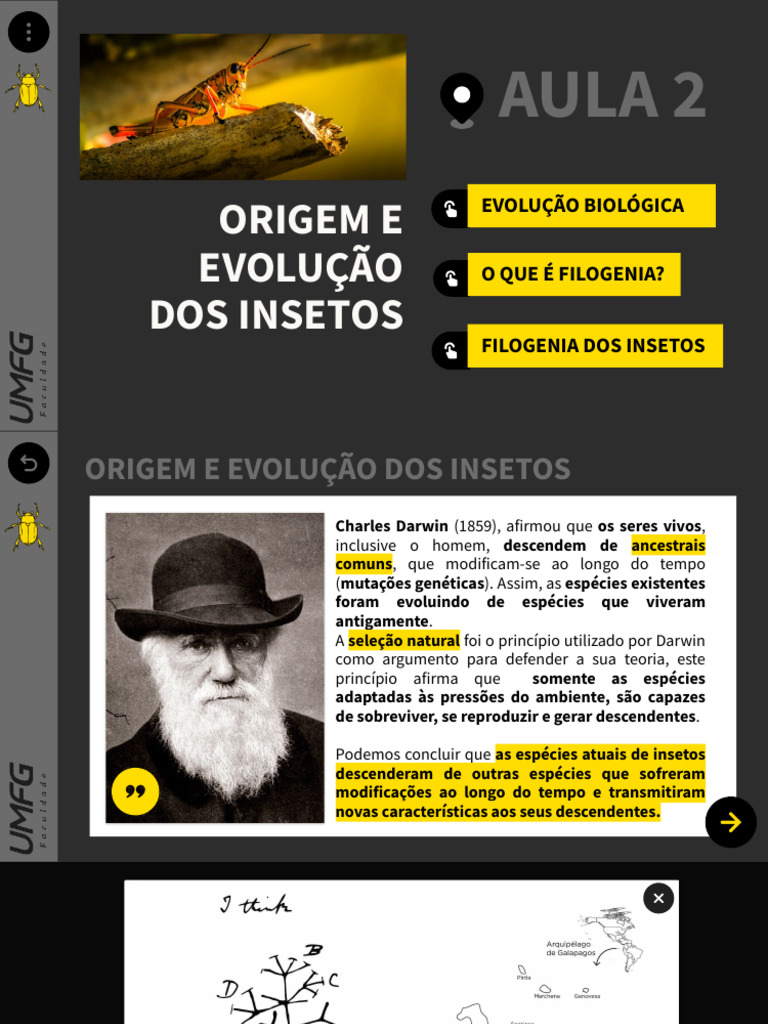 Aula 2 - Origem e Evolução Dos Insetos | PDF | Filogenética | Taxonomia ...