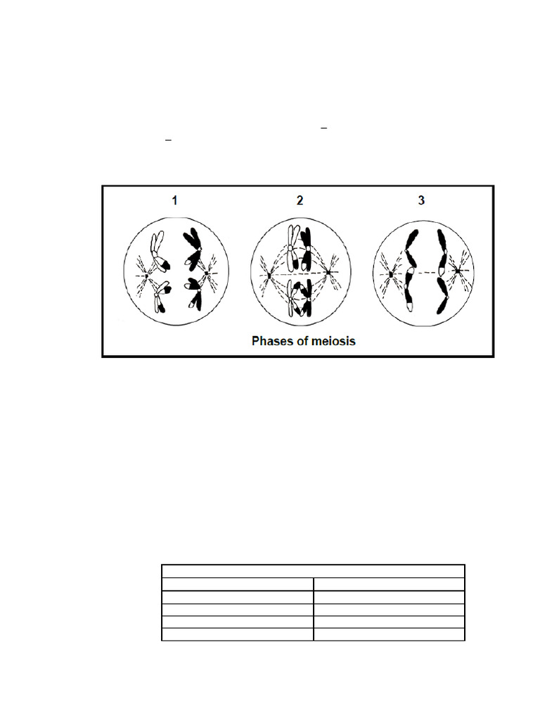 2-Gr 12 MEIOSIS Section A | PDF | Meiosis | Ploidy