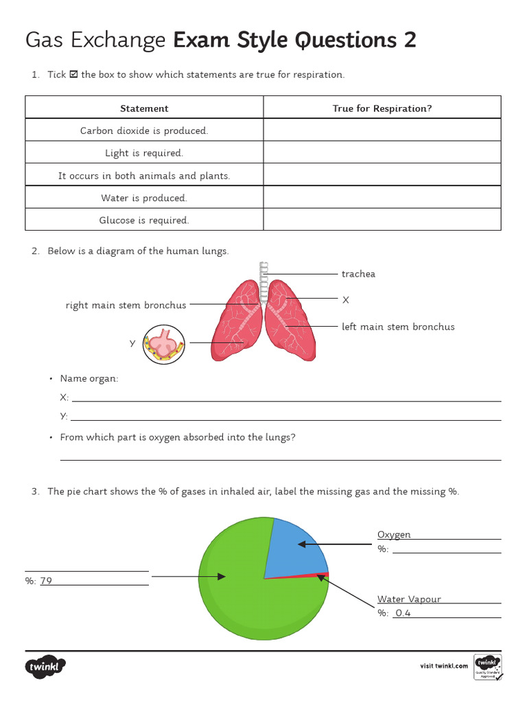 Gas Exchange Exam Style Questions 2 | PDF | Respiratory System | Lung