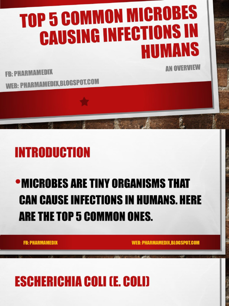 5 Common Microbes Causing Infections in Humans | PDF