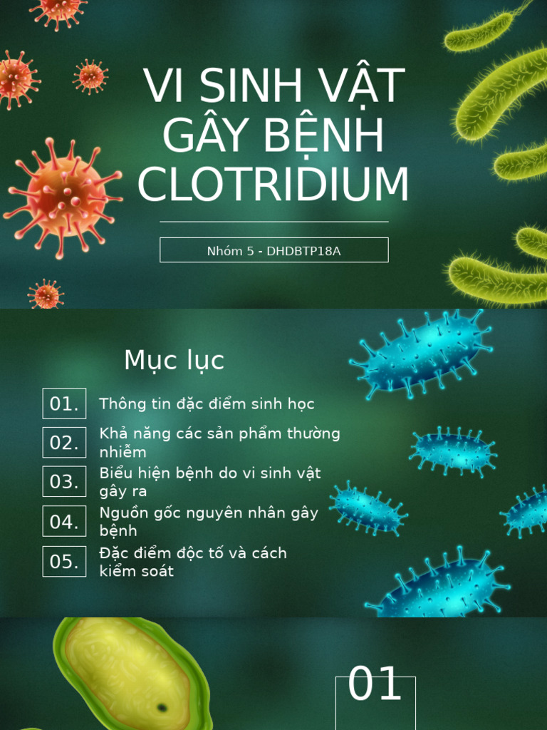 VSV gây bệnh CLOSTRIDIUM | PDF