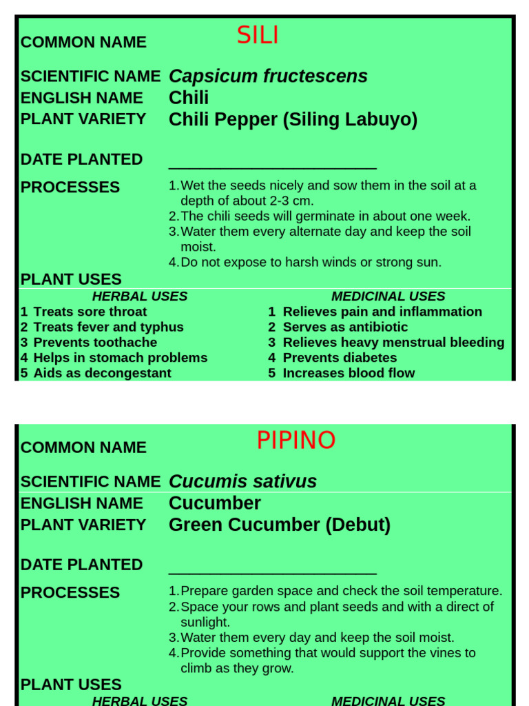 SUGBUSOG LABEL (FRONT) | PDF | Cardiovascular Diseases | Ginger
