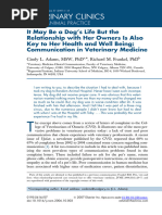 Vet Nursing Ability Model | PDF | Nursing | Patient