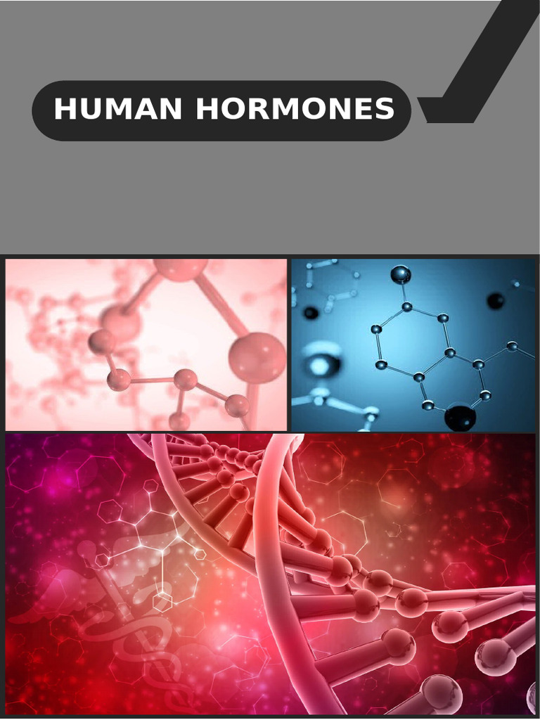 Human Hormones | PDF | Endocrine System | Hyperthyroidism