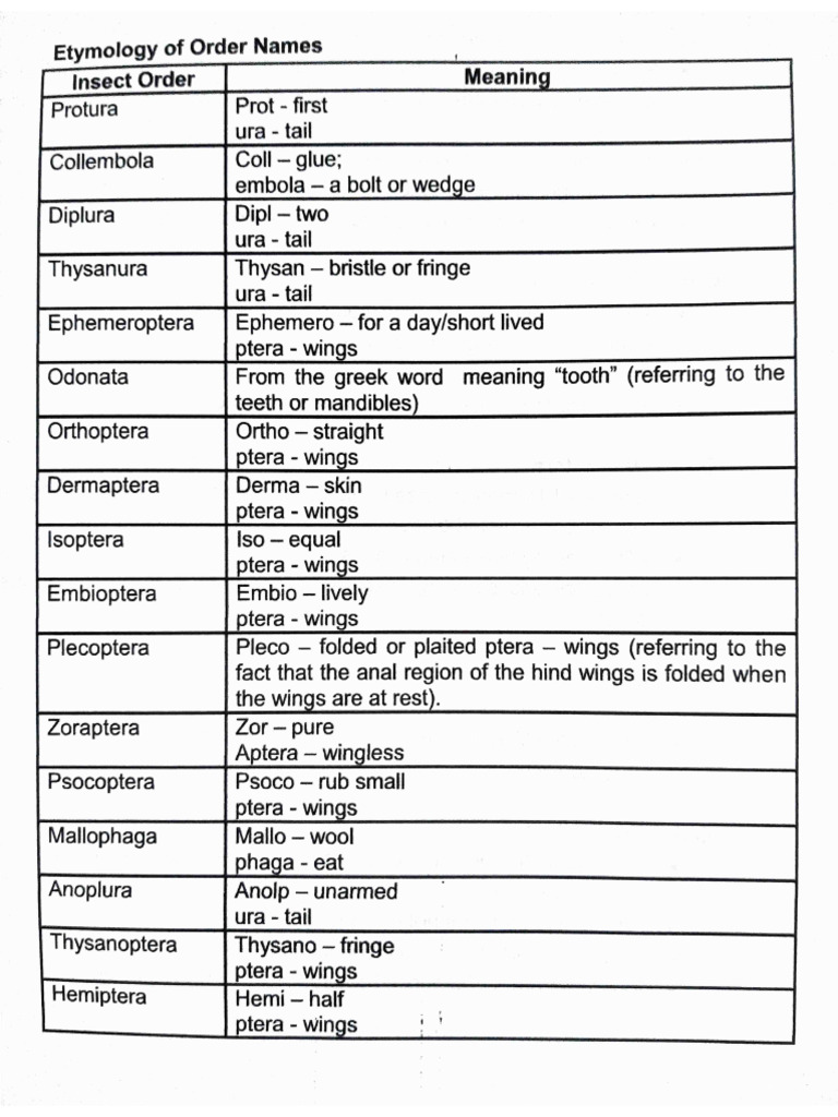 Etymology of Order Names | PDF