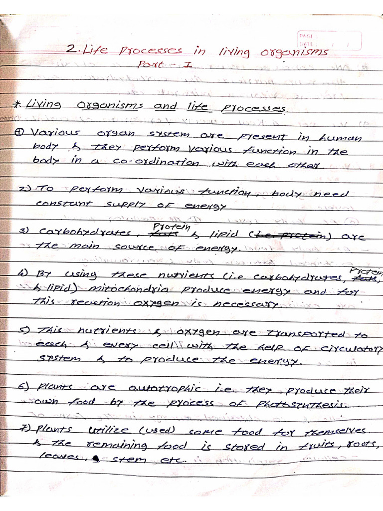 Class 10 Sci2 Unit 2 | PDF