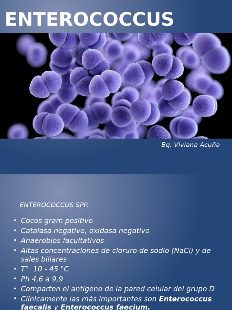 Enterococcus | PDF | Especialidades Medicas | Microbiología