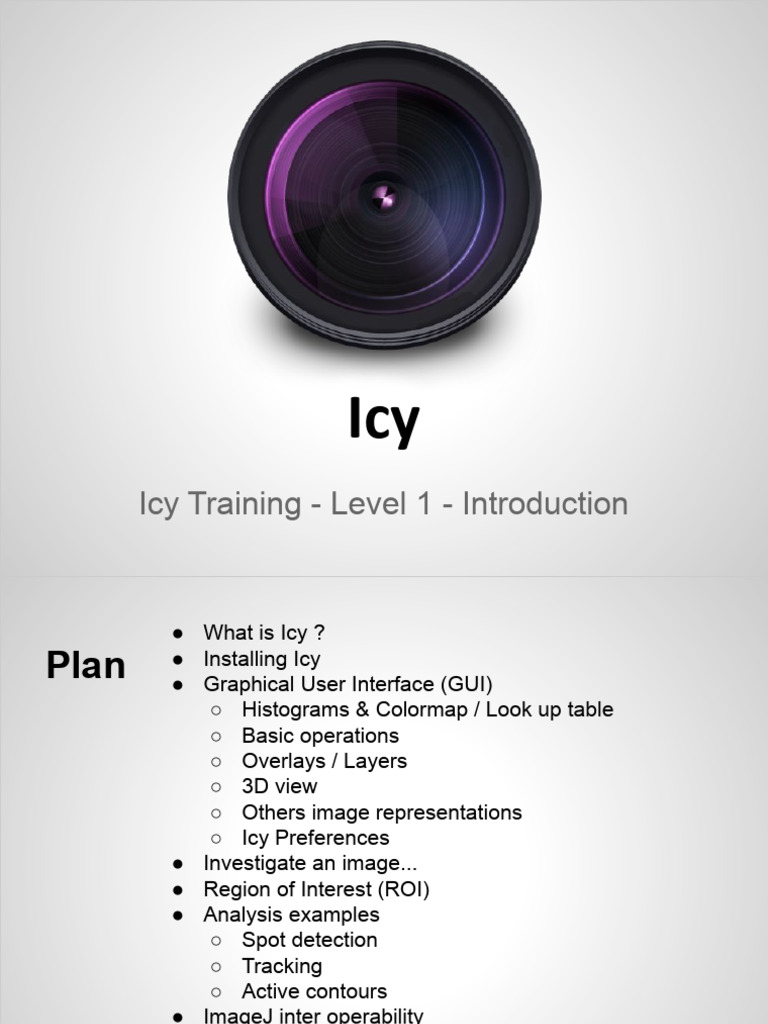 icy-introduction | PDF | 3 D Computer Graphics | Graphical User Interfaces