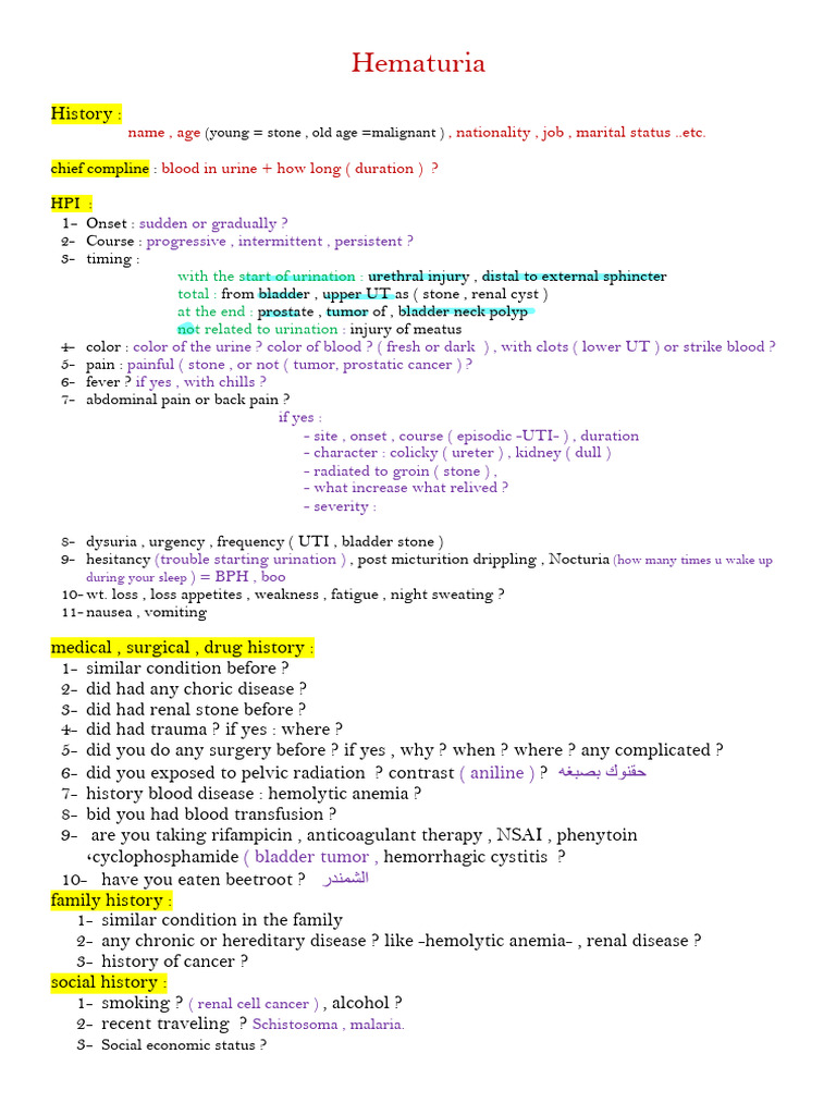 Approach Hematuria. | PDF | Urinary Tract Infection | Kidney
