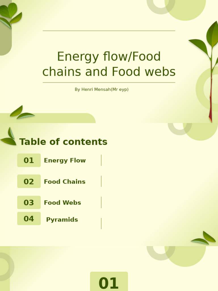 Energy Flow - Food Chains and Food Webs | PDF | Food Web | Foods