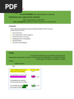 Test Diagnostyczny Z Języka Polskiego Klasa 7 Wsip | PDF