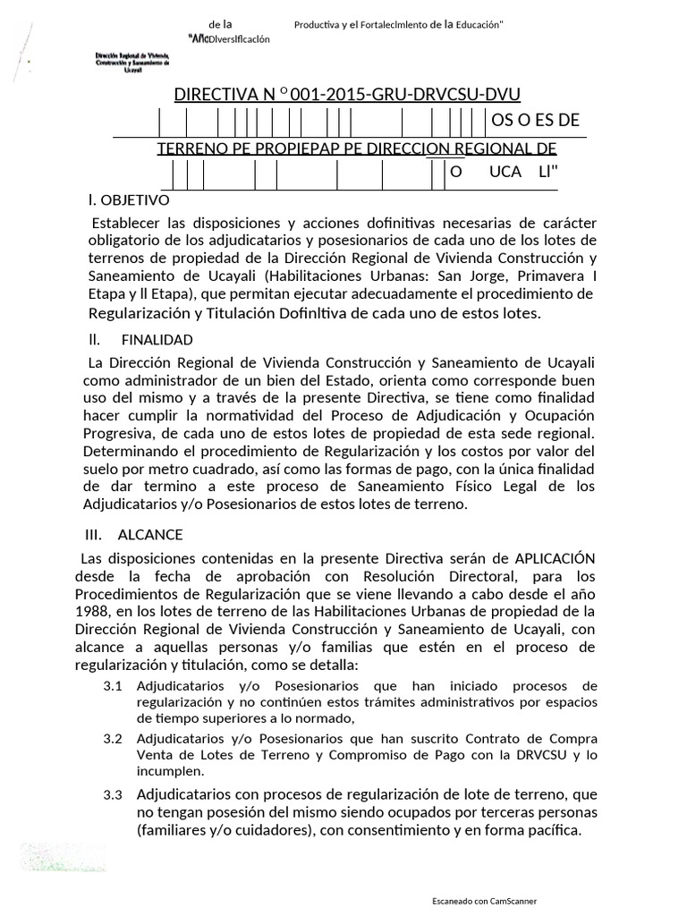 Directiva N°001-2015 | PDF | Propiedad | Ley común