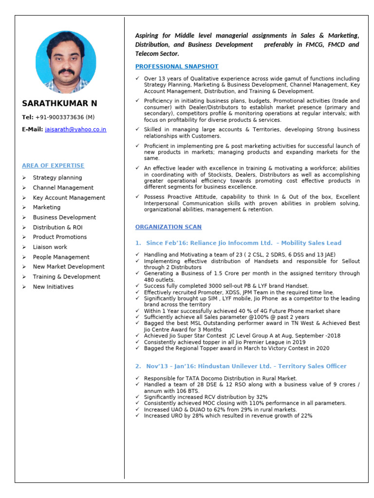 New Resume Template | PDF | Marketing | Telecommunications