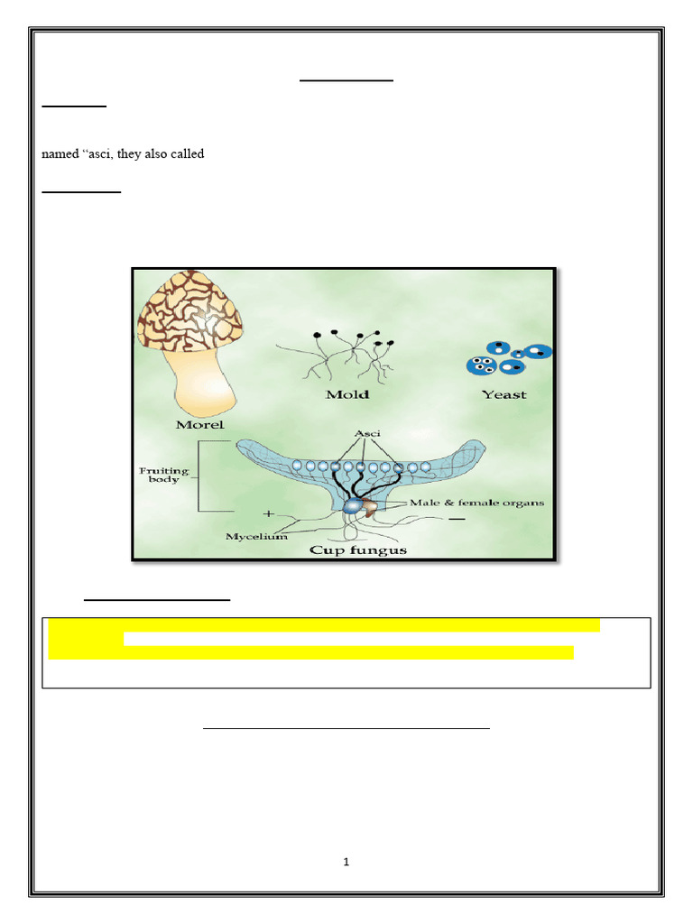 Aliza, 0102-Mphil-Bot-22, Diseases Incited by Ascomycetes | PDF ...