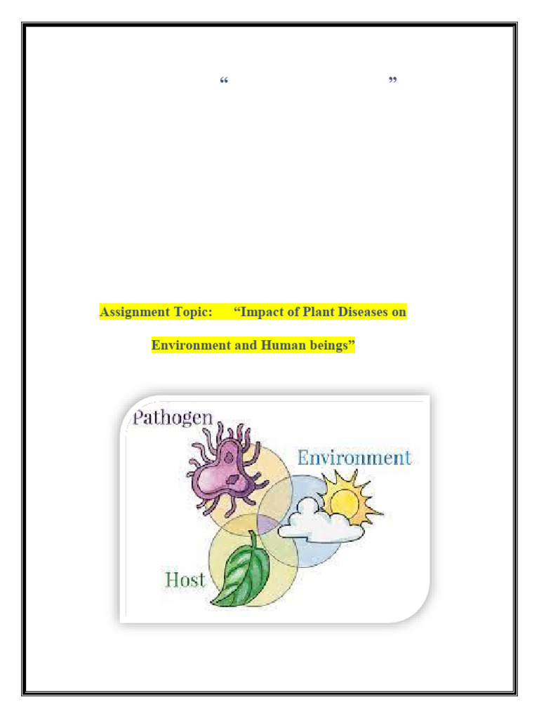 Amna Ejaz Assignmnet 109 Pathology FINAL | PDF | Mycotoxin | Pesticide