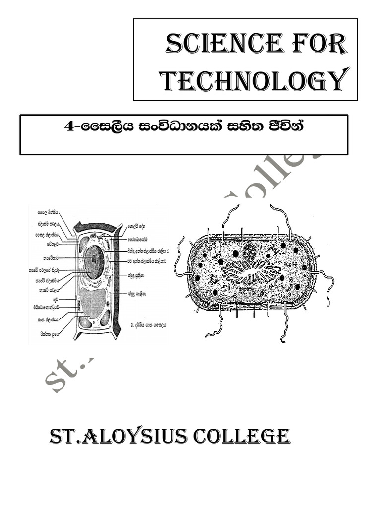 Alysius Bio Unit 4 | PDF