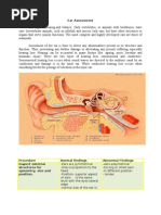 Normal Nose and Sinus Assessment | PDF | Human Nose | Otorhinolaryngology