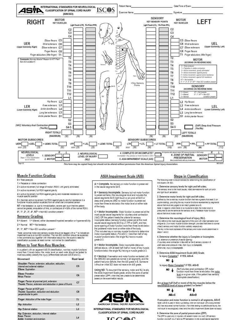 ASIA grading | PDF | Anatomical Terms Of Motion | Nervous System