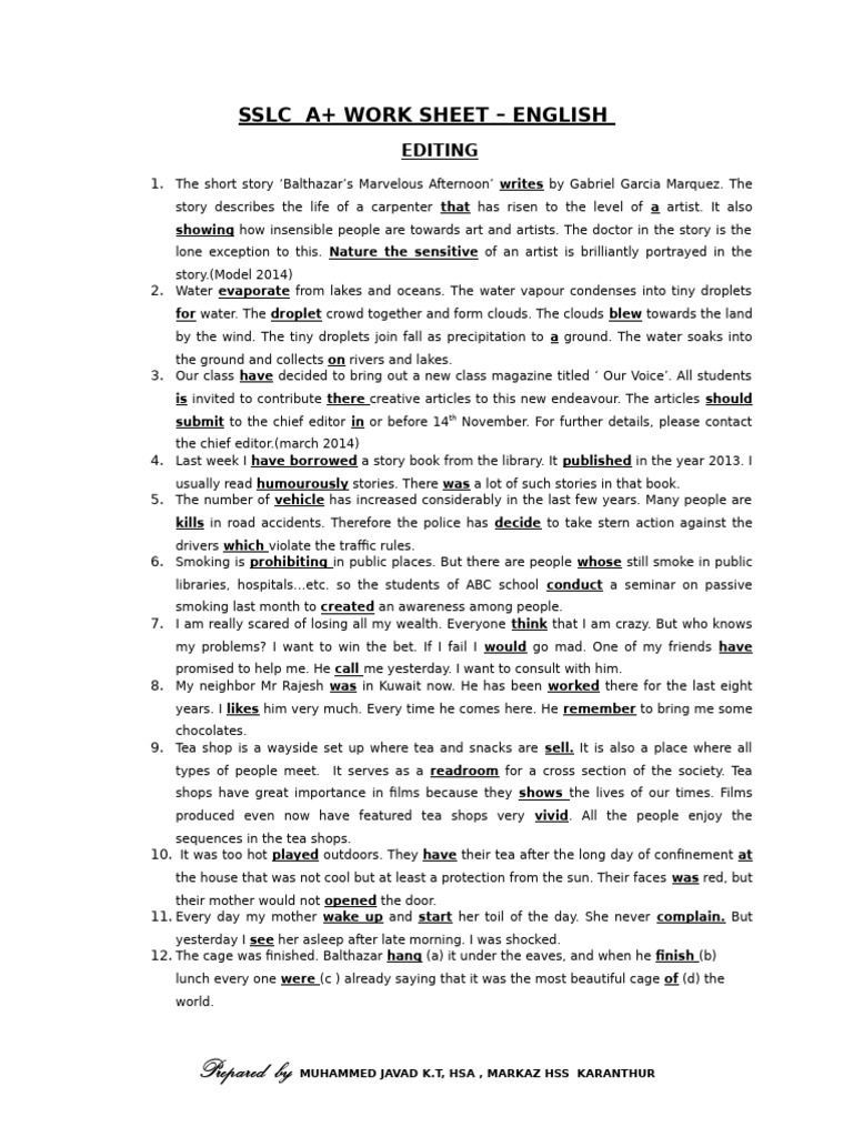 SSLC A Plus Worksheet - Editing | PDF
