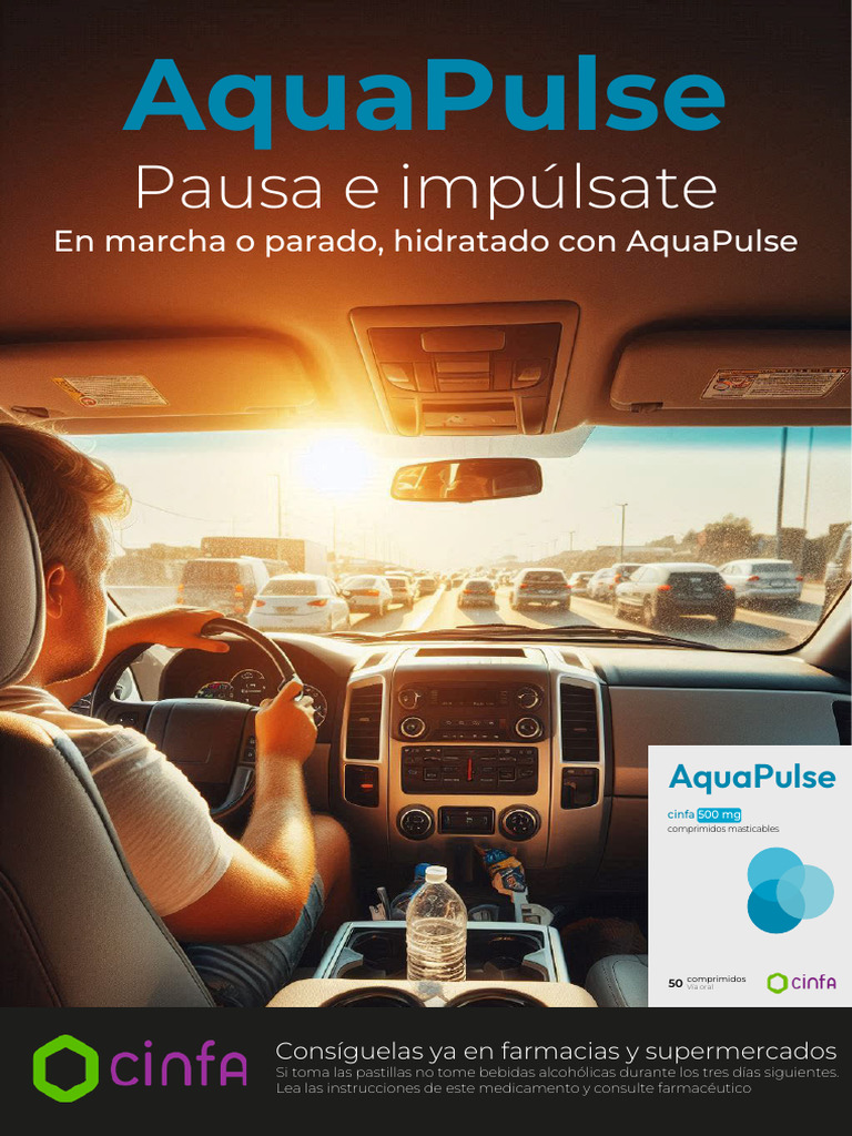 COCHE Carla, Lucia, Paula, Rebeca VF | PDF